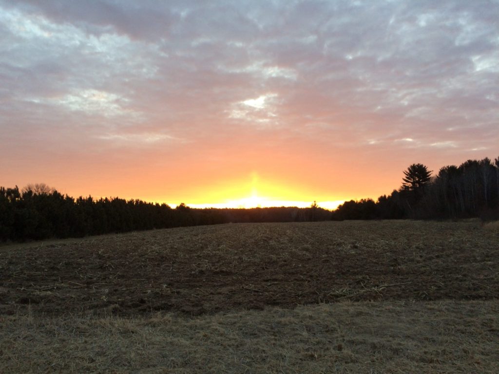 The Emerging Man… Has No Defined Lane, Yet! – theemergingman.com